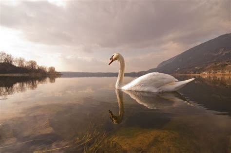 National Geographic ის აპრილის თვის საუკეთესო სურათები