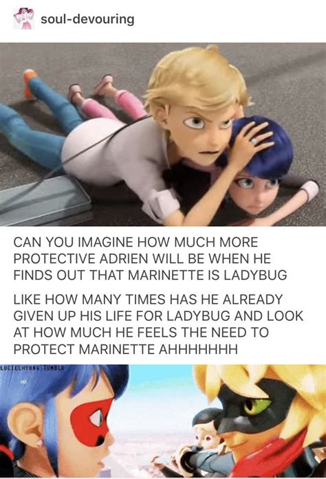 Adrienette Miraculous Ladybug Kiss Miraculous Ladybug Comic Miraculous