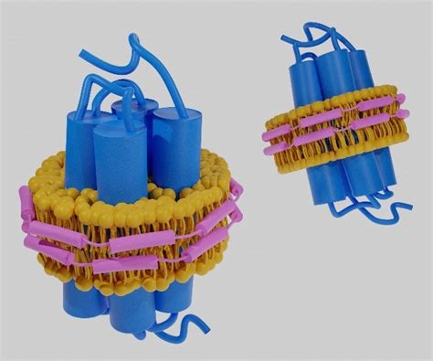 Membrane Proteins And Nanodiscs Creative Biostructure