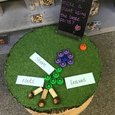 EYFS News The Vineyard Babe