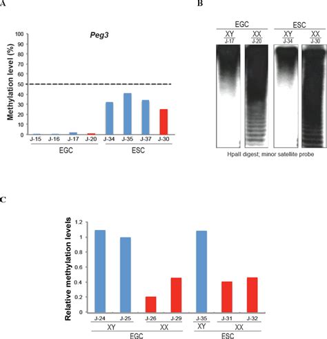 Figure 2 1 From Dissecting Molecular Similarities And Differences Between Pluripotent Stem Cell