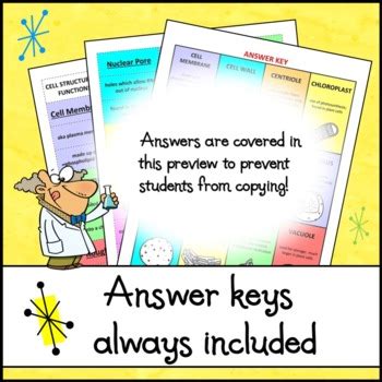 Card Sort Activity Cell Structures And Functions By The Skye World Science