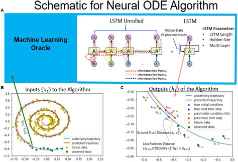 frontiers a deep learning approach to estimating initial conditions of brain network models in
