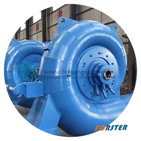 Hydraulic Turbine Generator 250kw Hydroelectric Francis Turbine Water