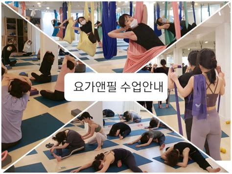 수업안내 요가 플라잉 필라테스 테라피 수업 [성신여대요가 정릉요가 성신여대필라테스 성신여대플라잉 돈암동요가] 네이버 블로그