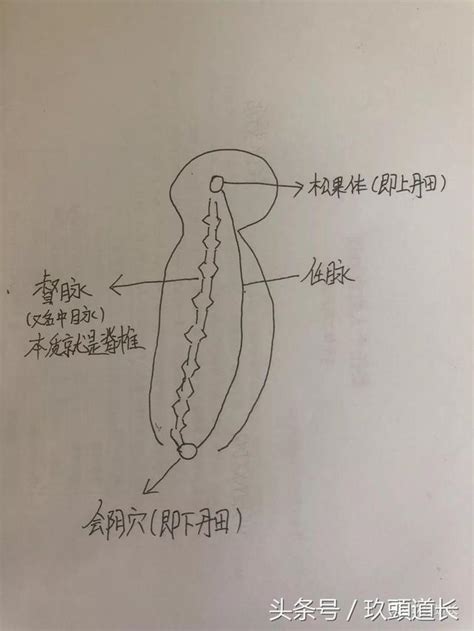 何為任督二脈如何打通 每日頭條