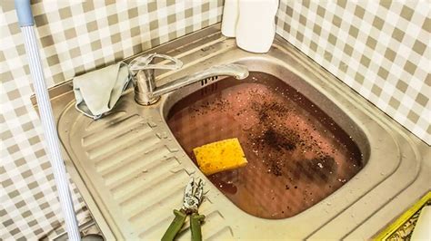 Як швидко прочистити раковину на кухні за допомогою простих засобів Читайте на Ukr Net