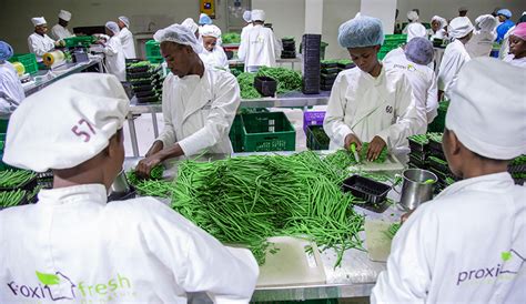 How Naebs Interventions Could Save Rwandas Horticulture Exports