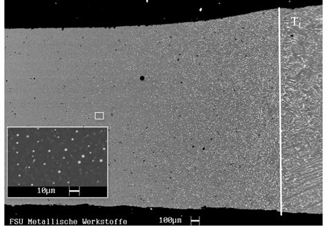 Overview Over The Microstructure Of The Former Mushy Zone Sem Bse
