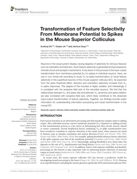 Pdf Transformation Of Feature Selectivity From Membrane Potential To