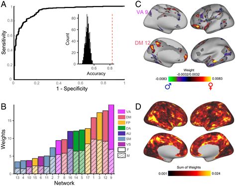 Sex Differences In The Functional Topography Of Association Networks In