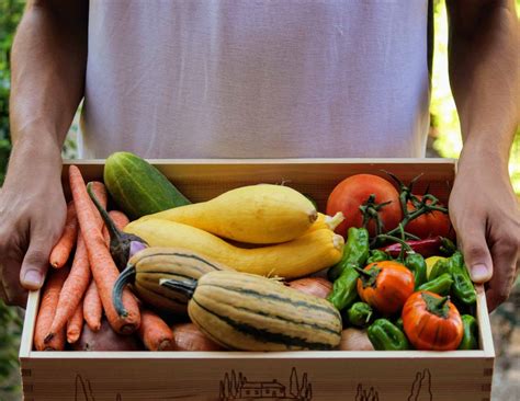 Farm Share Season Is HereMake Your CSA Box Subscription Order Form In