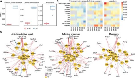 Data Integration And Inference Of Gene Regulation Using Single Cell
