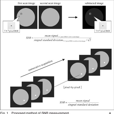 Figure 1 From Signal To Noise Ratio Measurement In Parallel MRI With Subtraction Mapping And