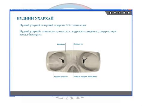 лекц 1 хүний биеийн ерөнхий бүтэц тулгуур эрхтэн тогтолцоо Pptx