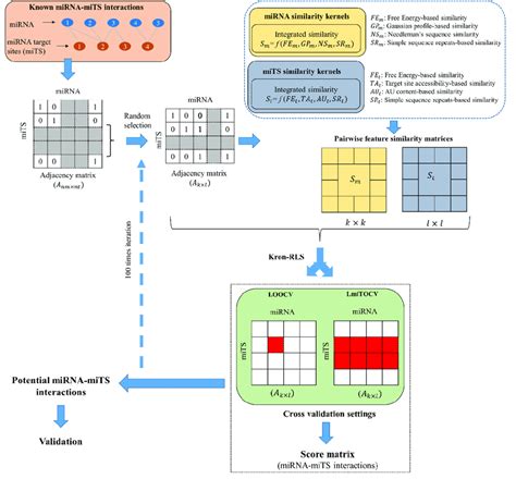 Schematic Representation Of The Workflow For Feature Integration Download Scientific Diagram