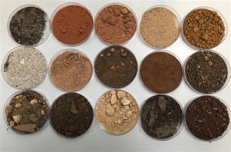 Soil Samples