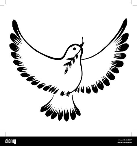 Dove Silhouette Images
