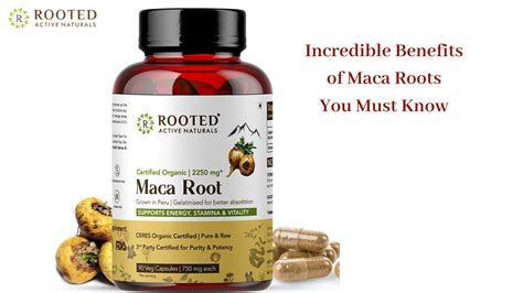 Maca Root Benefits Advantages Of Maca Root Rooted Active Naturals