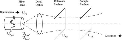 Simplified Diagram Of A Common Path Sd Oct Interferometer Download Scientific Diagram