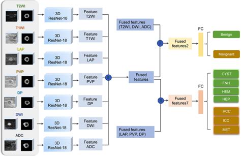 Saliency Based D Convolutional Neural Network For Categorising Common