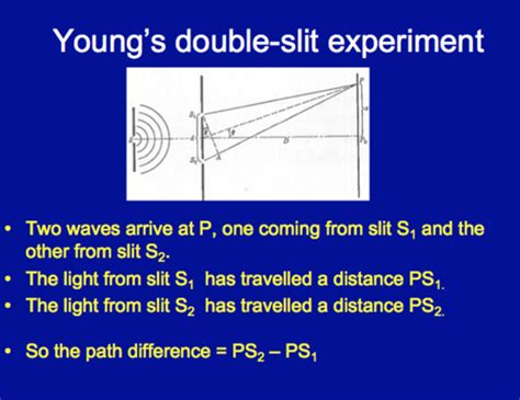 bme advanced biophysics flashcards quizlet