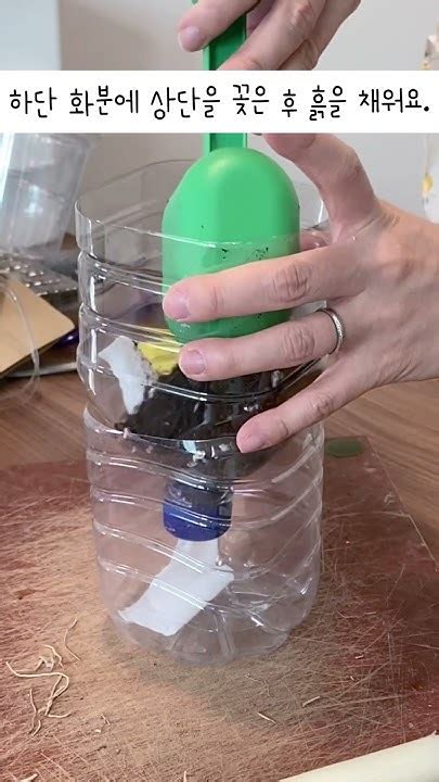 자동급수 페트병화분 만들어 매일 공짜로 신선한 대파키워먹기 Youtube