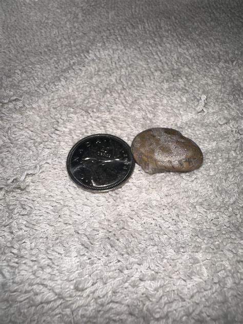 Ontario Canada R Fossilid