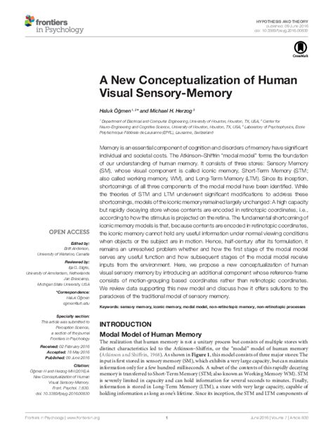 Pdf A New Conceptualization Of Human Visual Sensory Memory