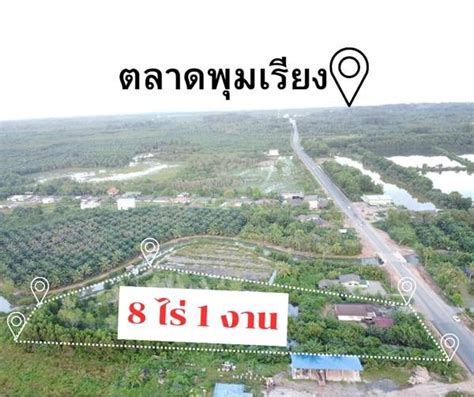 ขายที่ดินหน้าติดถนนหลังติดคลองอ ไชยา จ สุราษฎร์ธานี