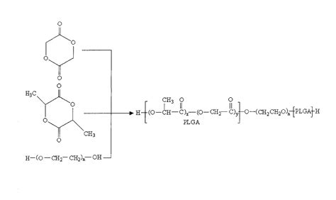 Copolymer With Temperatureph Dual Sensibility And Preparation And