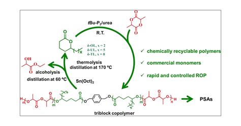 Rapid And Controlled Ring Opening Copolymerization Of Bio Sourced Alkyl δ Lactones To Produce