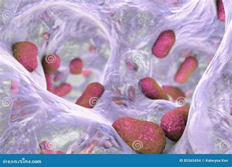 Bacterium Acinetobacter Baumannii Inside Biofilm Royalty Free Cartoon 85564769