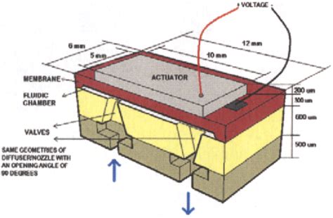 Figure 2 From Flow Behaviour Of Fluid Structure Interaction Fsi System Of Piezoelectric
