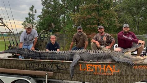 Un Cazador Novato Atrapó Al Cocodrilo Más Grande En La Historia De Georgia 4 6 Metros De Largo