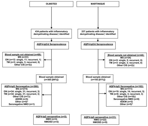 Epidemiology Of Aquaporin 4 Autoimmunity And Neuromyelitis Optica