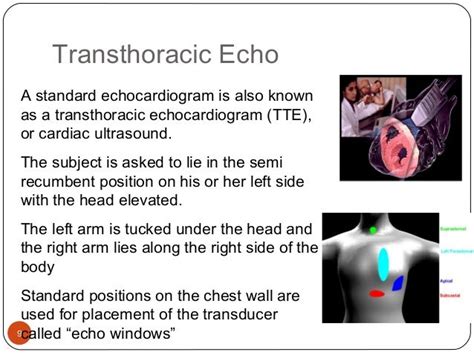 Introduction To Echocardiography