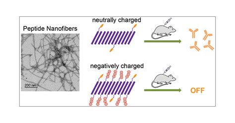 Switching The Immunogenicity Of Peptide Assemblies Using Surface Properties Acs Nano