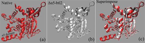 Structural Models Obtained From Pdb A Ribbon Diagram Showing Overall