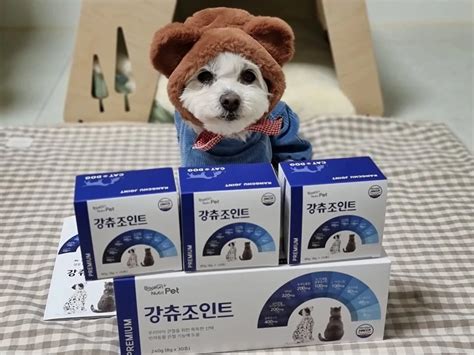 엘로약사의 바른뉴트리펫 강아지 고양이 영양제 쫑이and삐삐네 바른뉴트리펫 체험기 💕 강츄조인트 💙 리그램