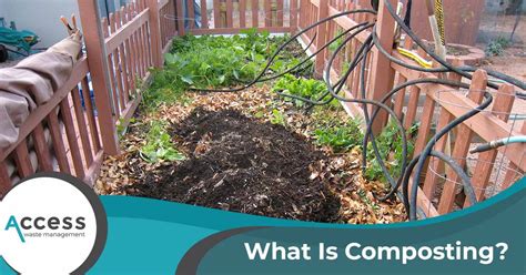 What Is Composting Composting Waste Definition Access Waste