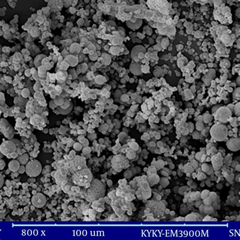 Sem Of Used Cuo Nps Download Scientific Diagram