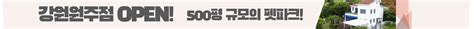 포메라니안소금이 강아지책임분양 강아지분양 고양이분양 컴투펫 시츄 셔틀랜드쉽독 말티푸 미니핀 치와와 요크셔테리어 포메라니안 말티즈 분양