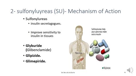 Antidiabetics 3 Oral Antidiabetic Drugs Youtube