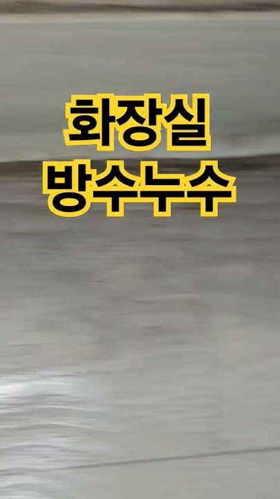 화장실도 청춘이 있었다 Youtube