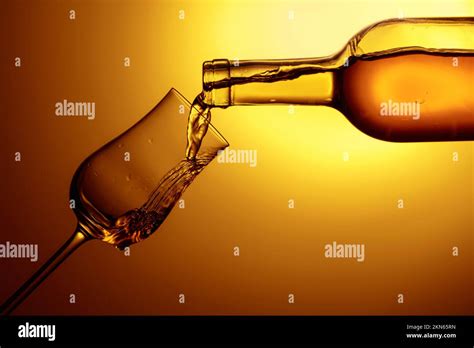 Digestive Tulip Of Premium Alcohol On A Yellow Background The Drink Is