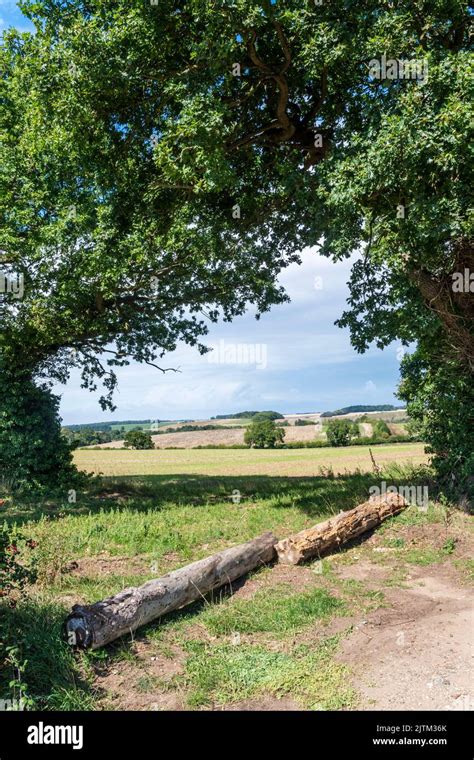 Des Bûches Bloquant Une Entrée Dans Le Champ De Norfolk Afin Déviter