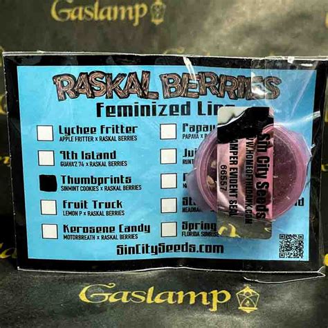 Sin City Seeds Thumbprints 7 Feminized Seeds Gaslamp Seeds