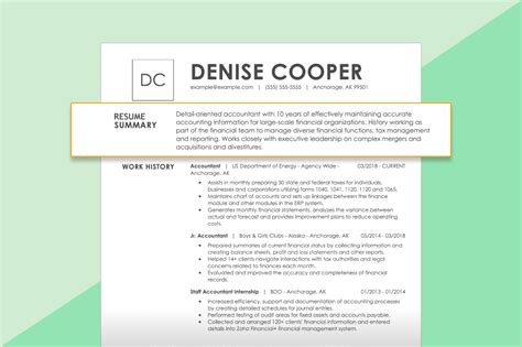 Sample Resume Summary Statement 11 Job Description Statement Template