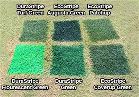 Green Grass Turf Dye Aerosol Paint Colorant Coverup Pee Spots Painting